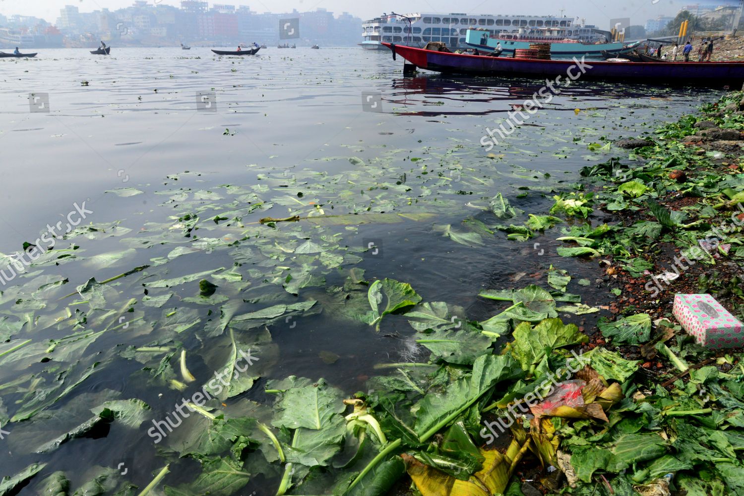 Water Pollution By Human Waste Dumped Editorial Stock Photo - Stock ...