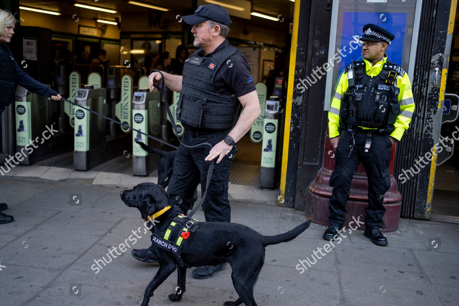 Police Stop Search Dog Camden Town Editorial Stock Photo - Stock Image ...