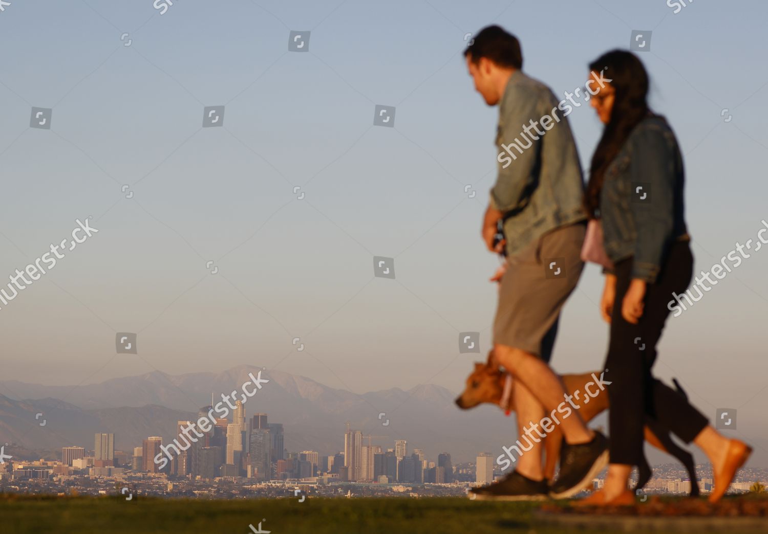 Two People Walk Dog View Downtown Editorial Stock Photo - Stock Image ...