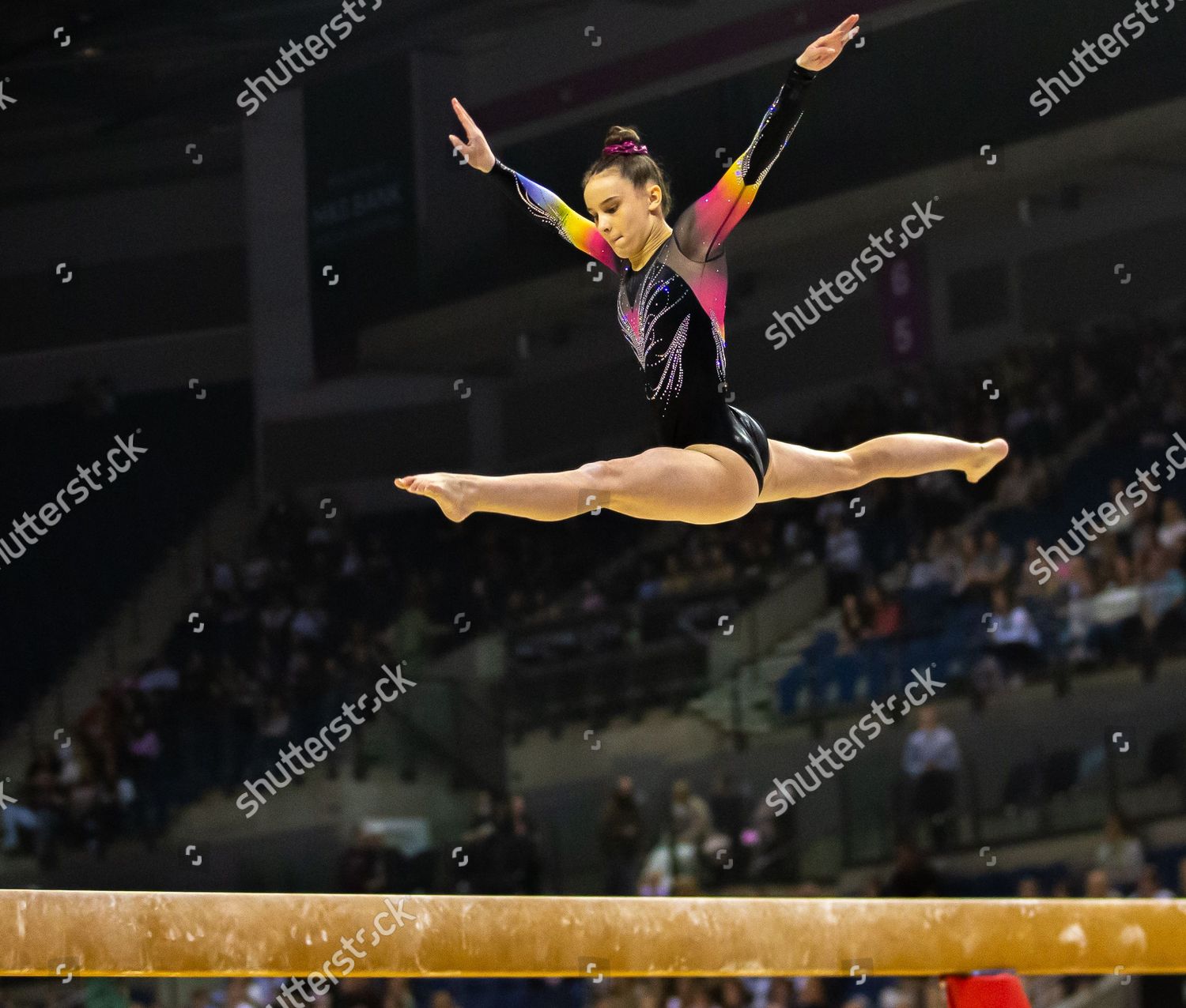Sacha Bailey On Beam Ms Arena Editorial Stock Photo - Stock Image ...