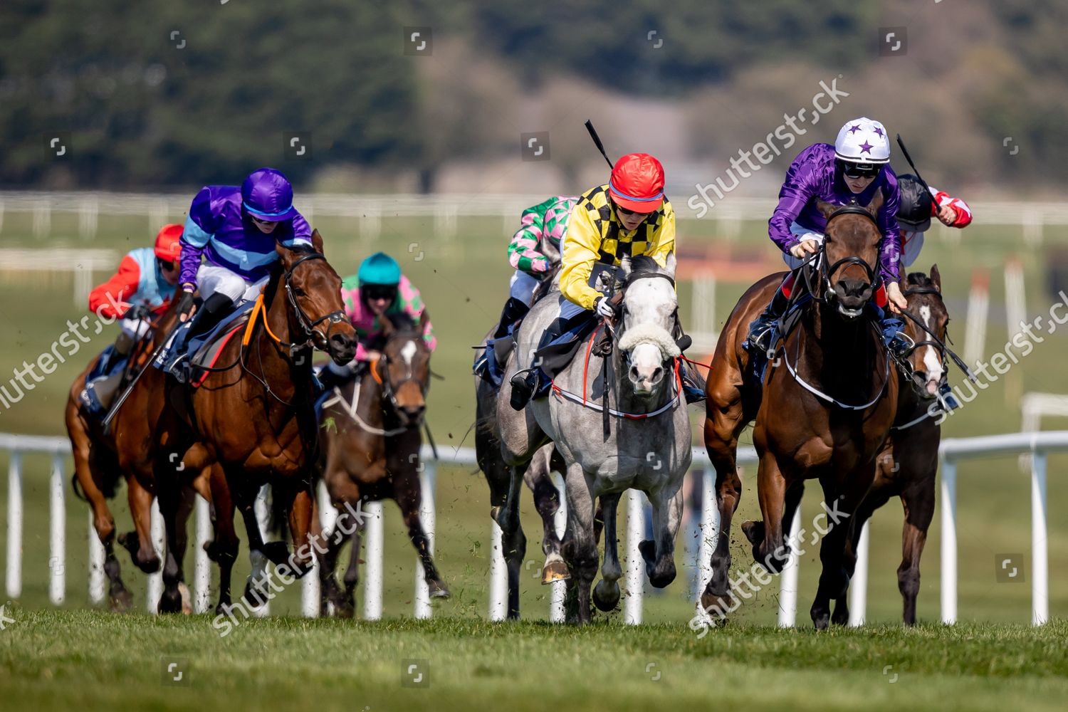 Far Above Compas Stallions Handicap Colin Editorial Stock Photo - Stock ...