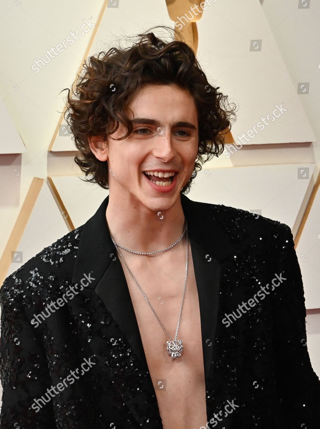 Chalamet Arrives 94th Annual Academy Awards Editorial Stock Photo ...