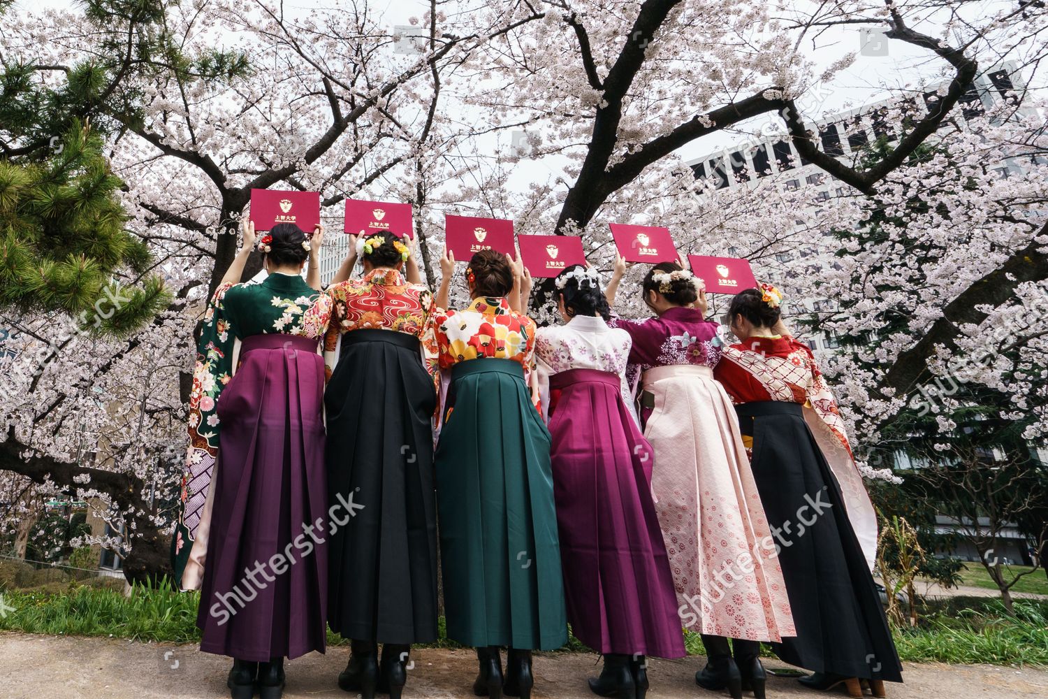 University Graduates Wearing Hakama Kimono Graduation Editorial Stock ...