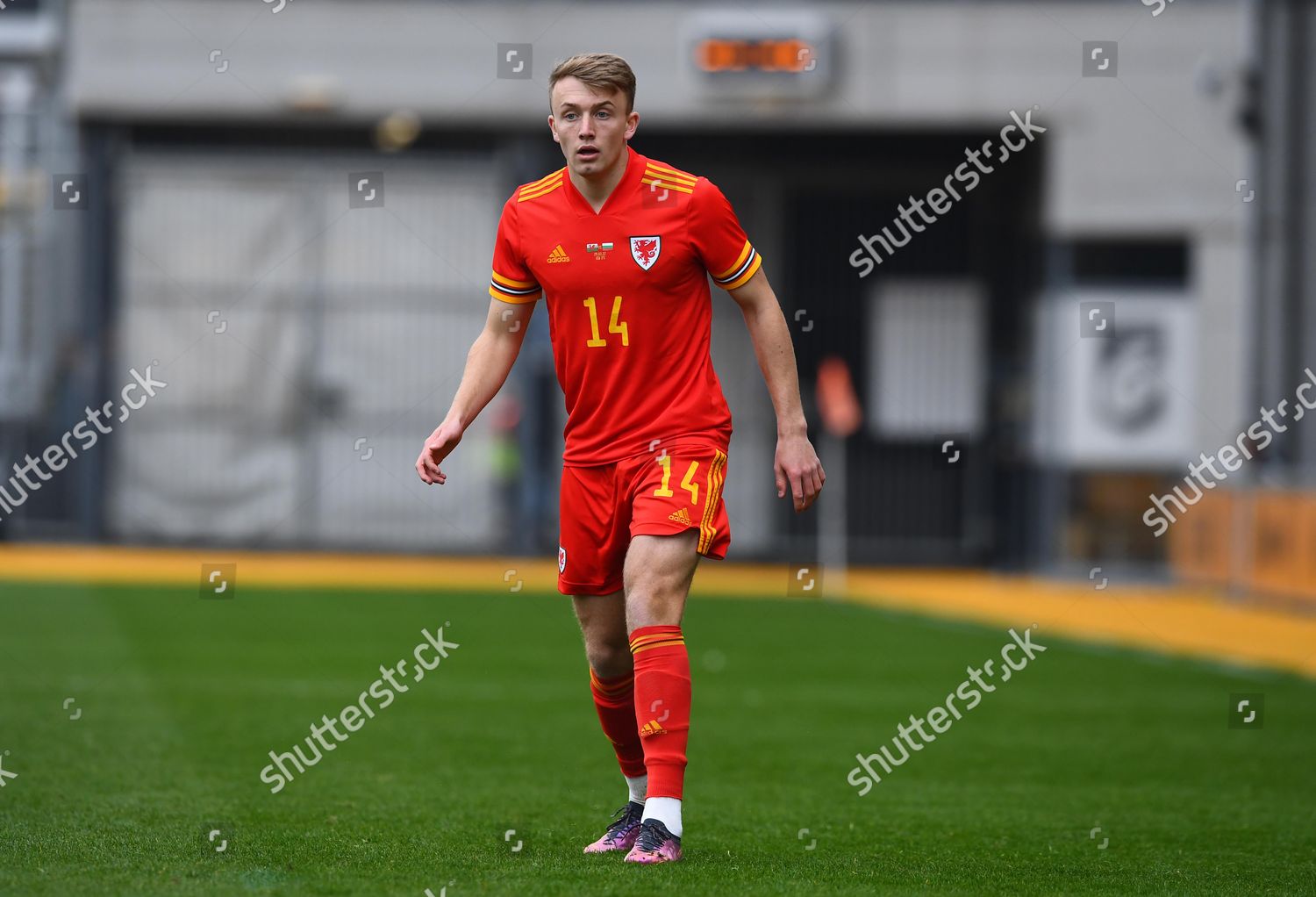Eli King Wales Editorial Stock Photo - Stock Image | Shutterstock