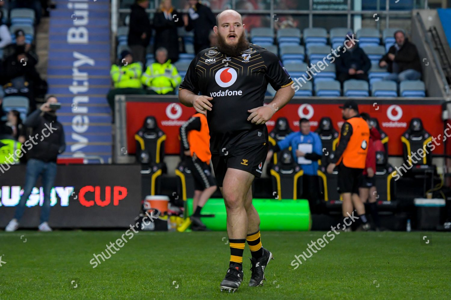 Pieter Scholtz Wasps Editorial Stock Photo - Stock Image | Shutterstock