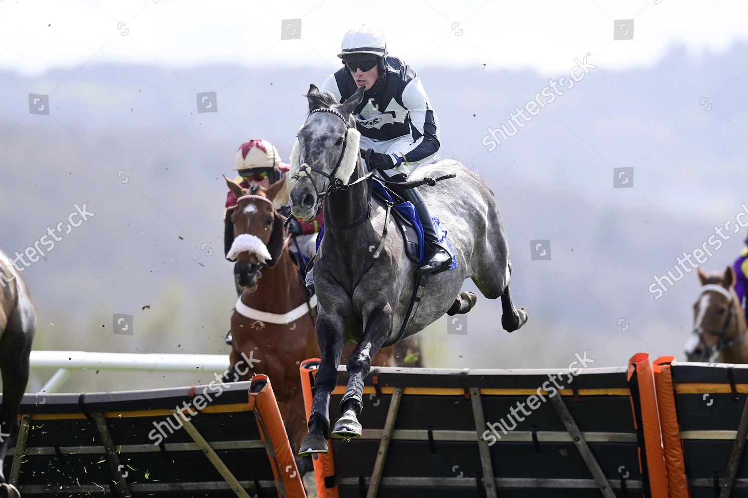 Kotki Ridden By Philip Armson Race Editorial Stock Photo - Stock Image ...