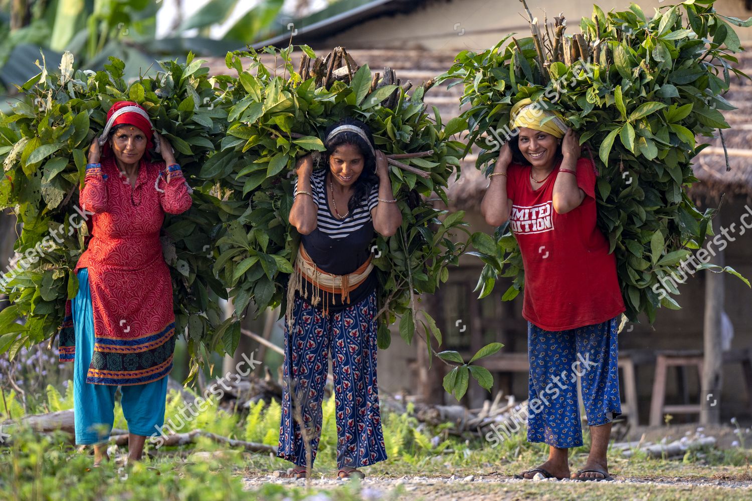 Nepal Terai Province Barauli Village Tharu Editorial Stock Photo ...