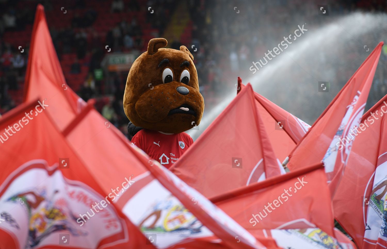 Barnsley Mascot Toby Tyke Behind Flags Editorial Stock Photo - Stock ...
