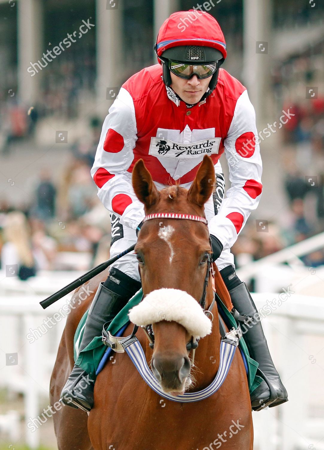Queens Gamble Jonathan Burke Winner Spreadex Editorial Stock Photo ...