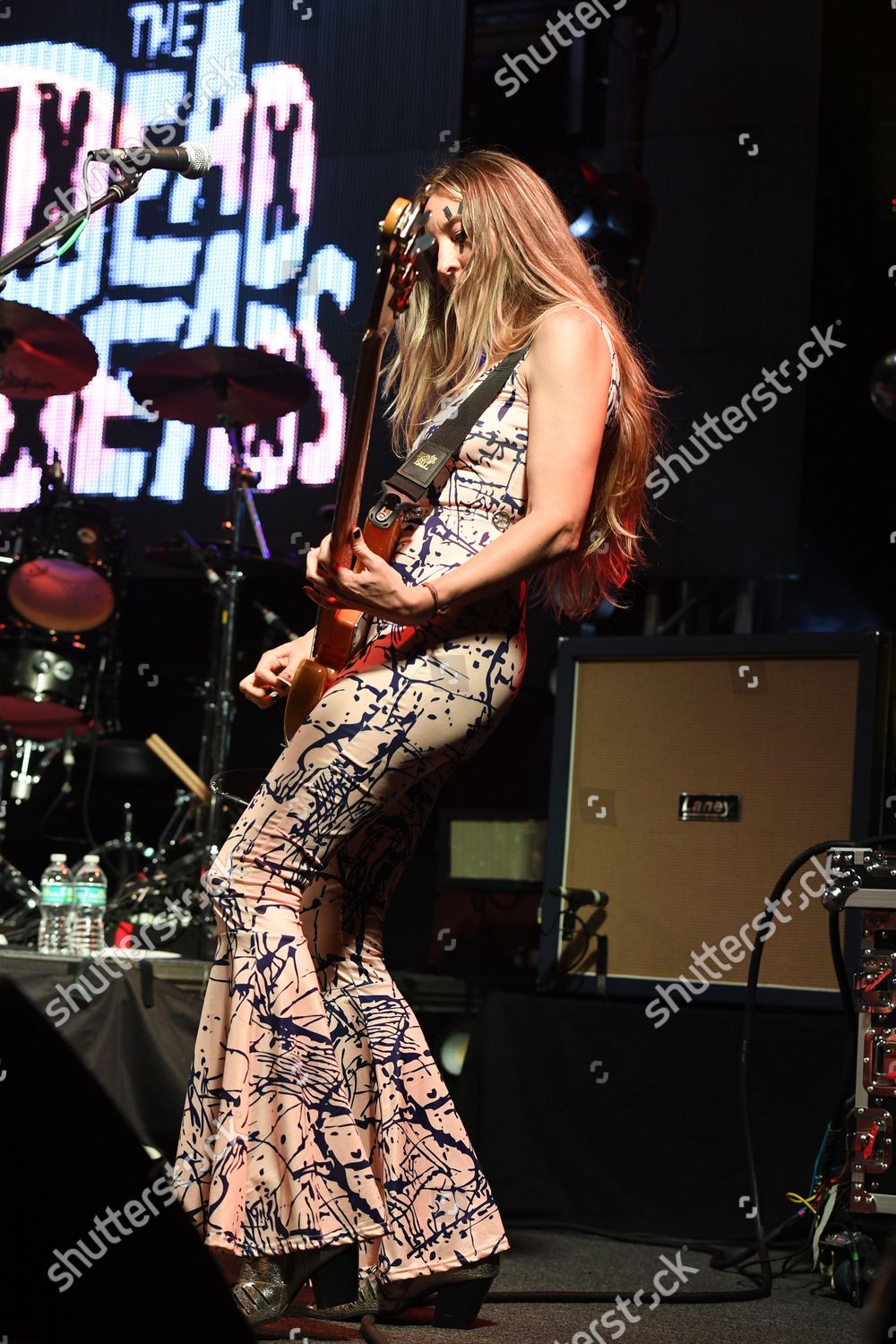 Daisy Dead Dead Deads Editorial Stock Photo - Stock Image | Shutterstock