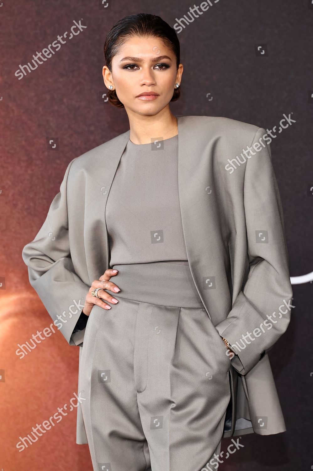 Zendaya Editorial Stock Photo - Stock Image | Shutterstock