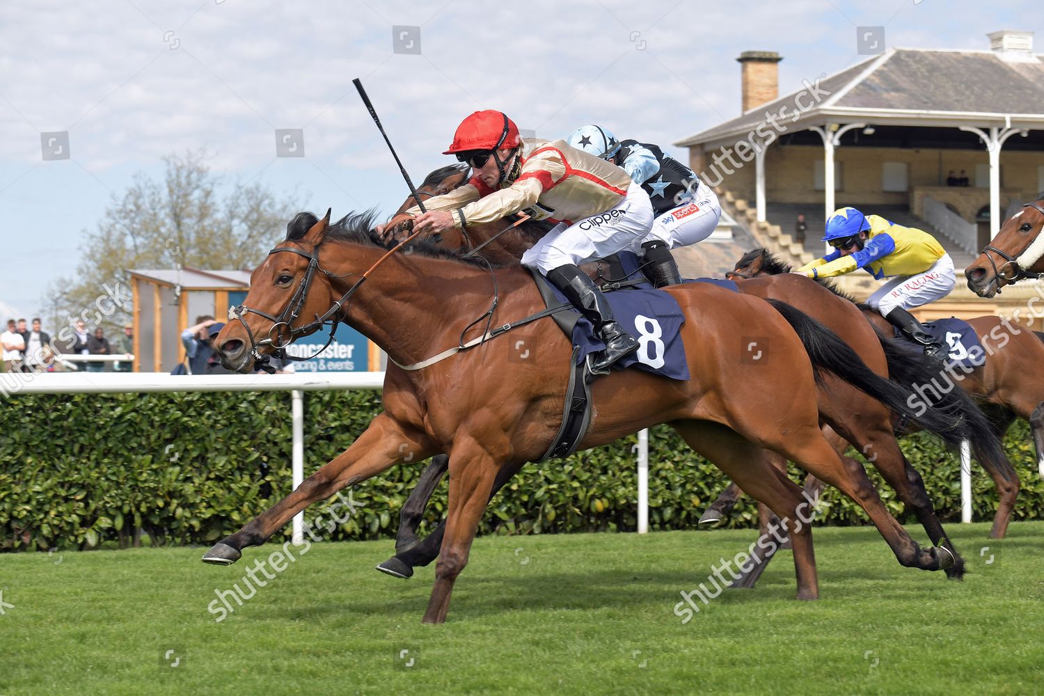Frog Toad Daniel Tudhope Wins Races Editorial Stock Photo - Stock Image ...