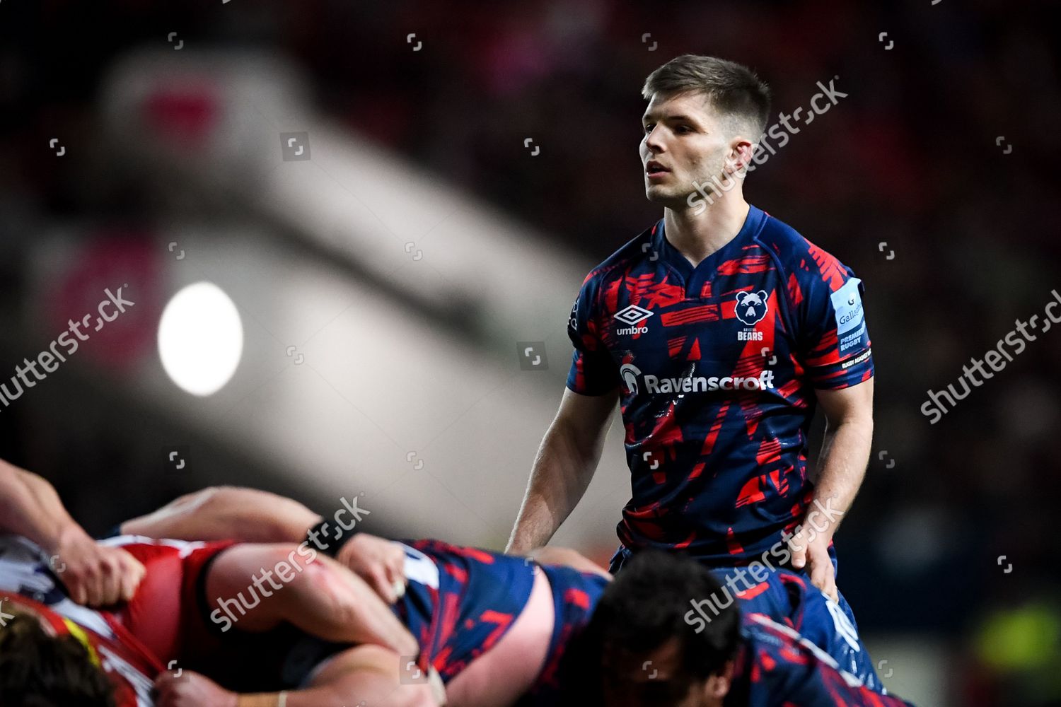 Harry Randall Bristol Bear Editorial Stock Photo - Stock Image ...