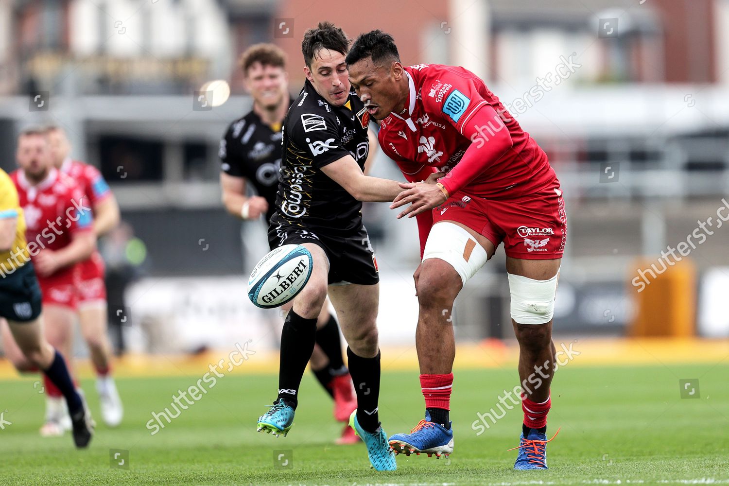 Dragons Vs Scarlets Scarlets Sam Lousi Editorial Stock Photo - Stock ...