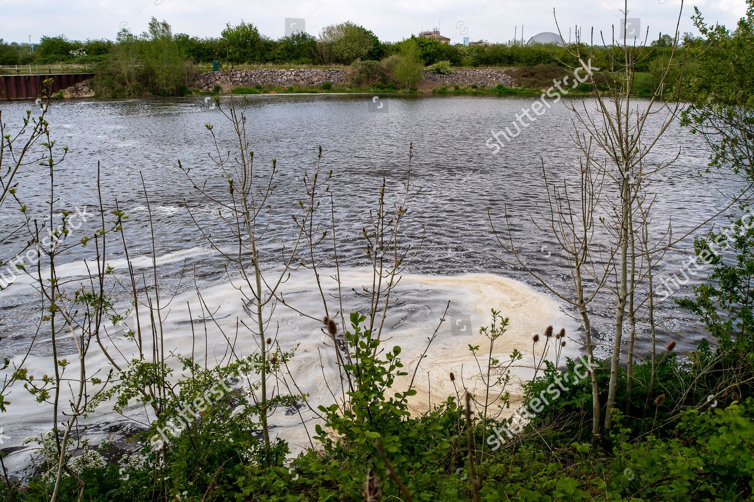 Pollution On Jubilee River Adjacent Slough Editorial Stock Photo ...