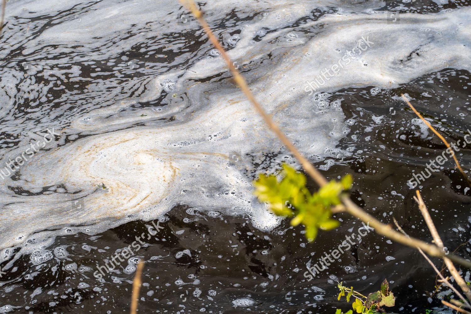 Pollution On Jubilee River Adjacent Slough Editorial Stock Photo ...