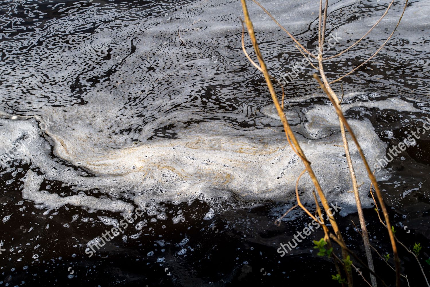 Pollution On Jubilee River Adjacent Slough Editorial Stock Photo ...
