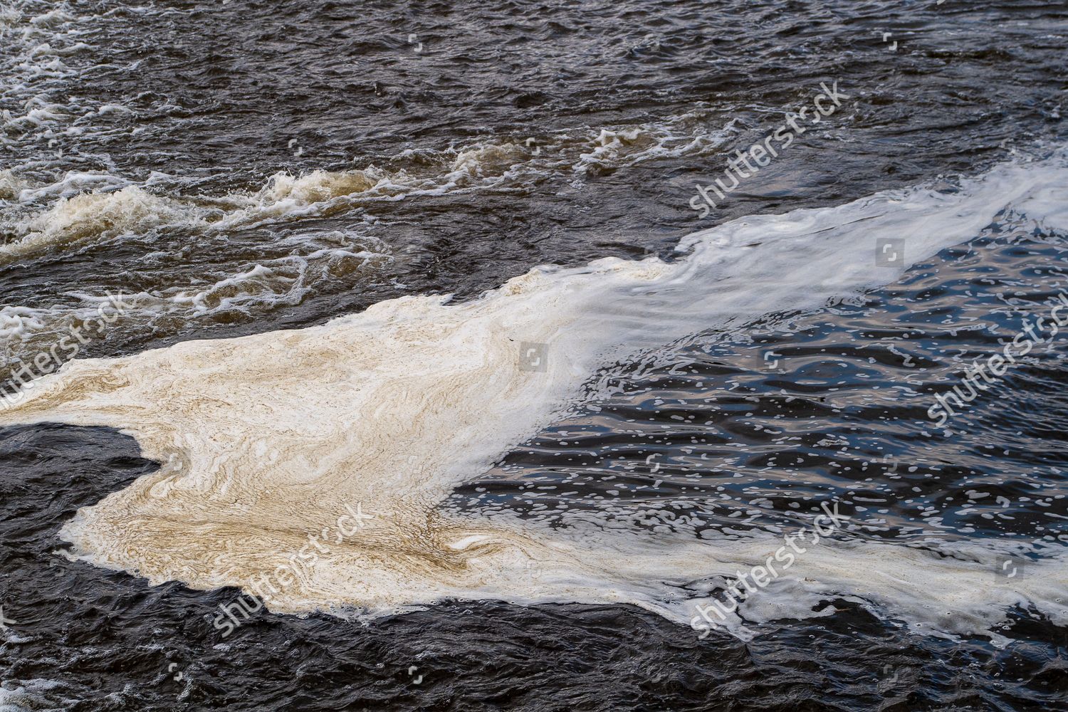 Pollution On Jubilee River Adjacent Slough Editorial Stock Photo ...