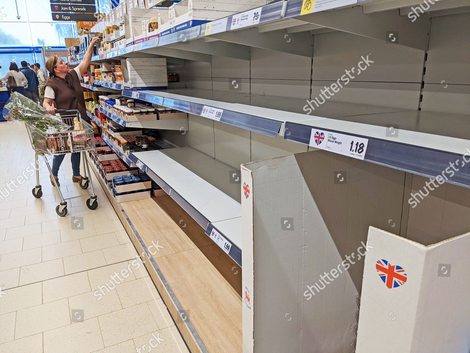 Eggless Supermarket Shelves Lidl Store South Editorial Stock Photo ...