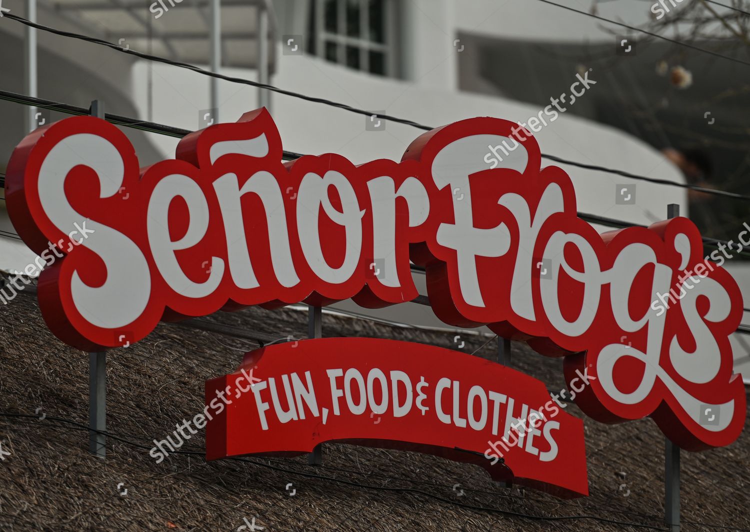 Senor Frogs Logo Seen Along 5th Editorial Stock Photo - Stock Image ...