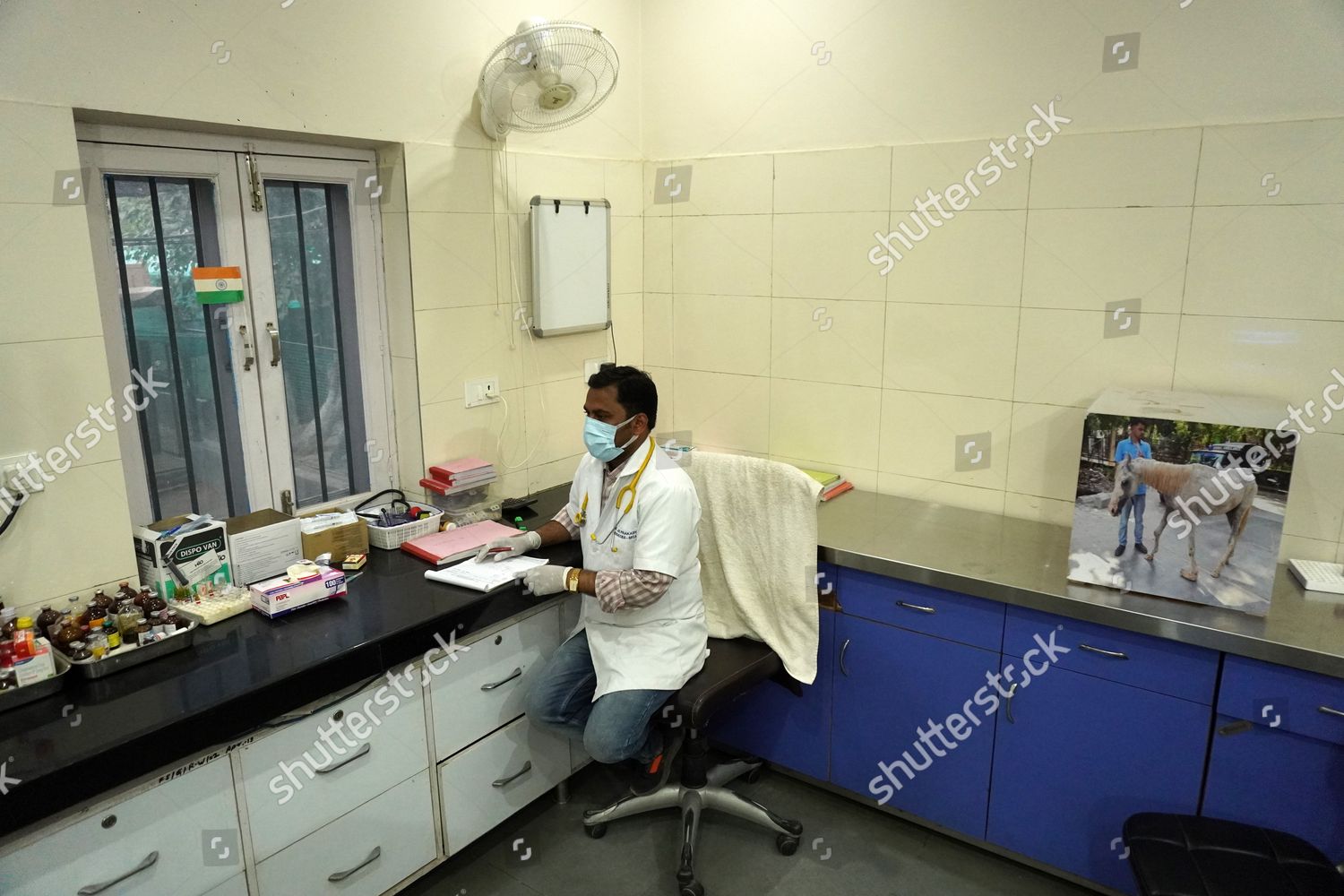 Veterinary Doctor Works Inside Opd Section Editorial Stock Photo ...