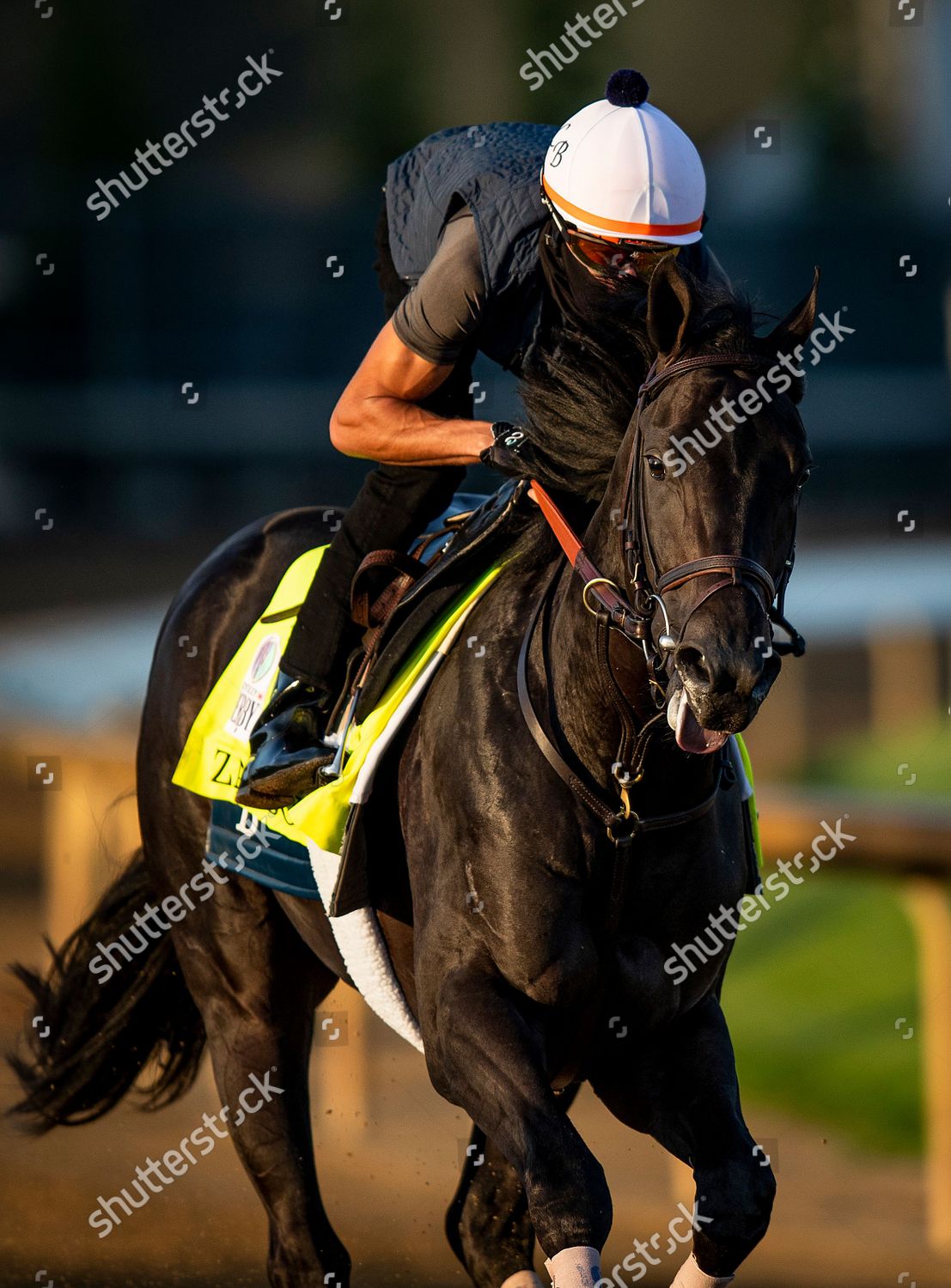 2022 Louisville Ky Usa Zandon Trained Editorial Stock Photo - Stock ...