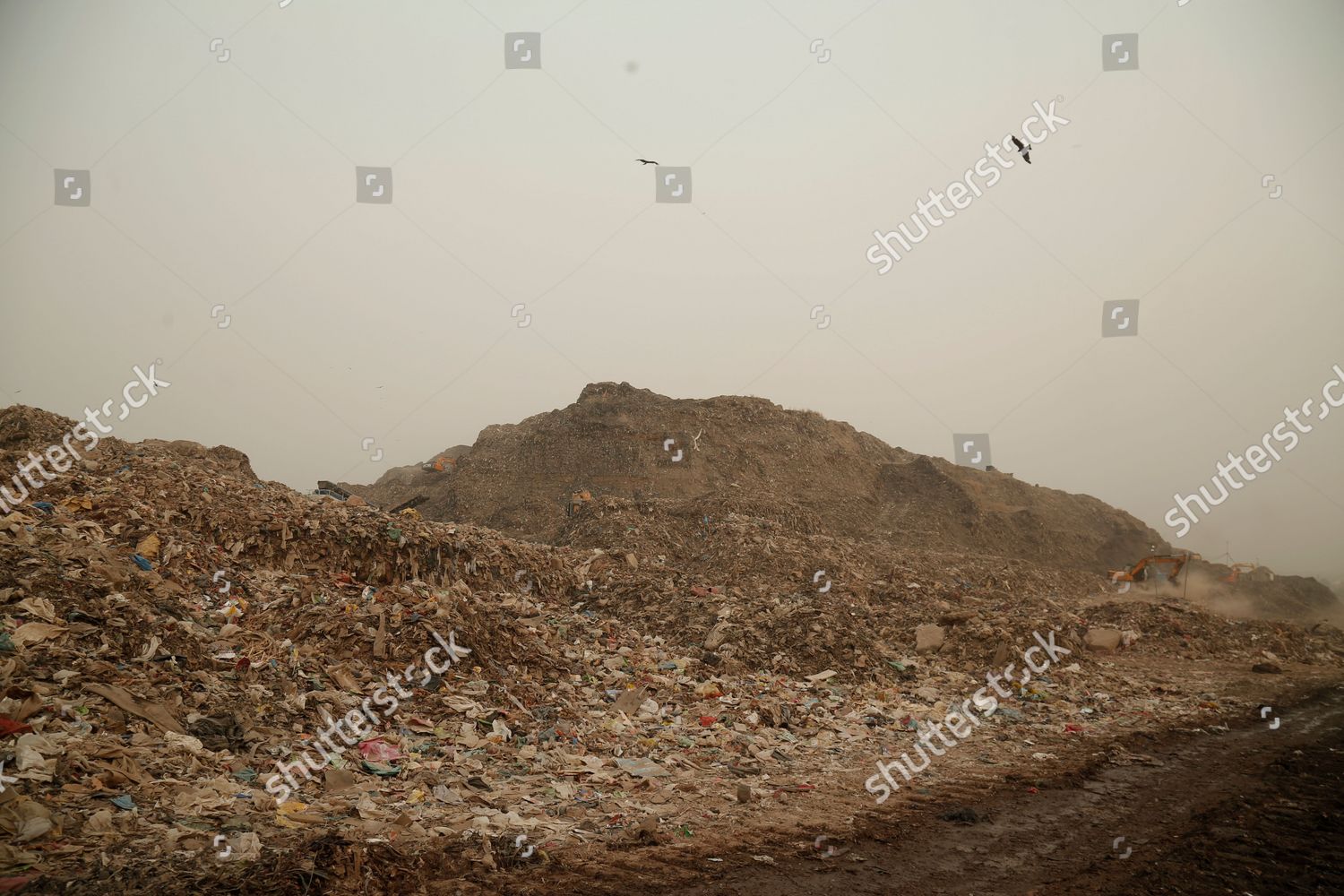Garbage Dumping Bhalswa Landfill Site Spread Editorial Stock Photo ...