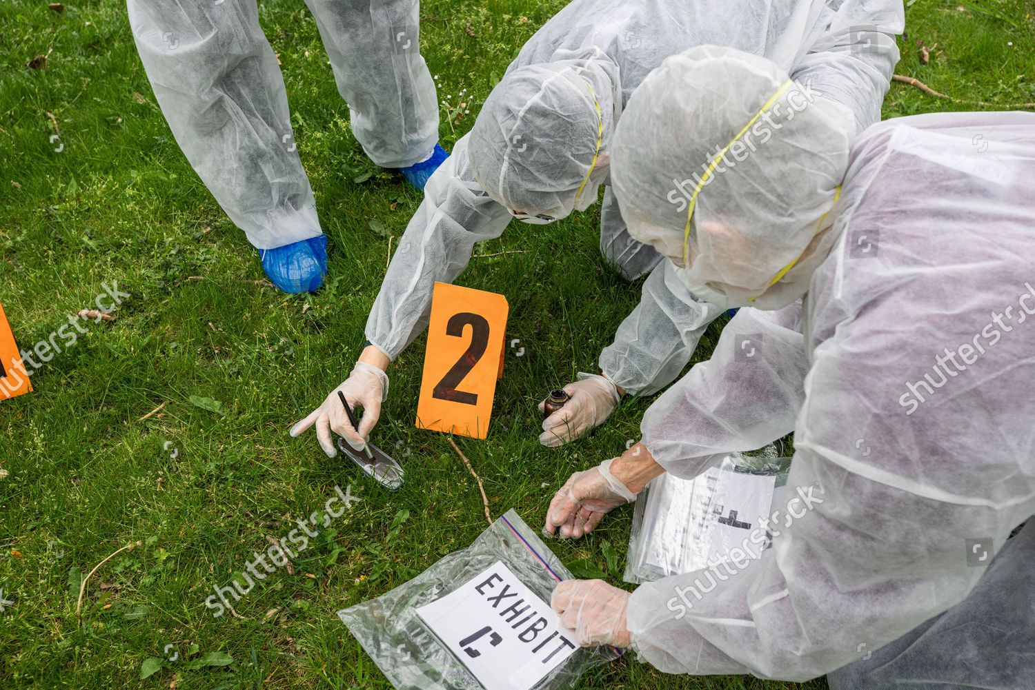 Ocean Rebellion Forensic Team White Overalls Editorial Stock Photo ...