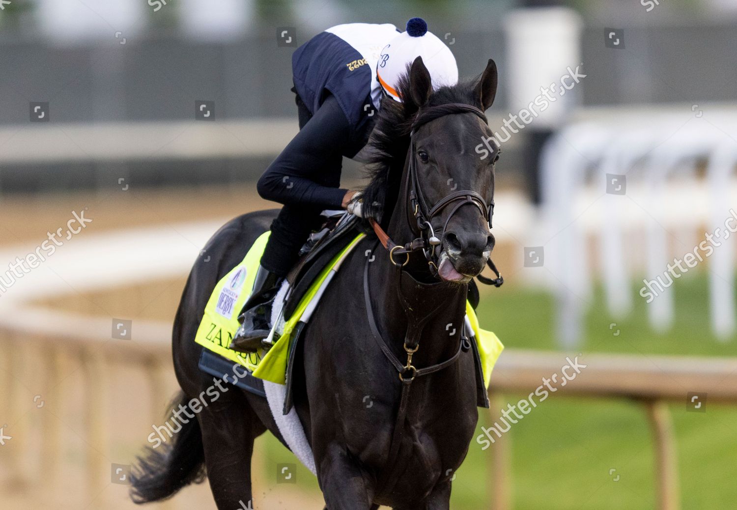 2022 Louisville Ky Usa Zandon Trained Editorial Stock Photo - Stock ...
