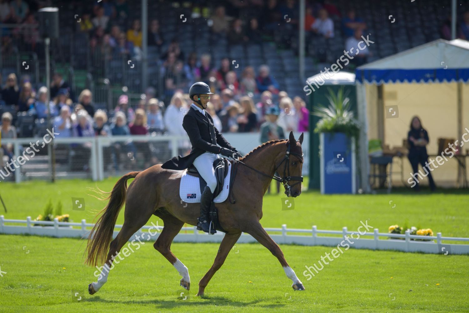 Bill Levett Aus Riding Lassban Diamond Editorial Stock Photo - Stock ...