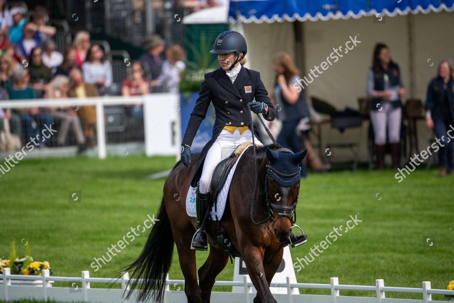 Felicity Collins Gbr Rsh Contend Dressage Editorial Stock Photo - Stock ...