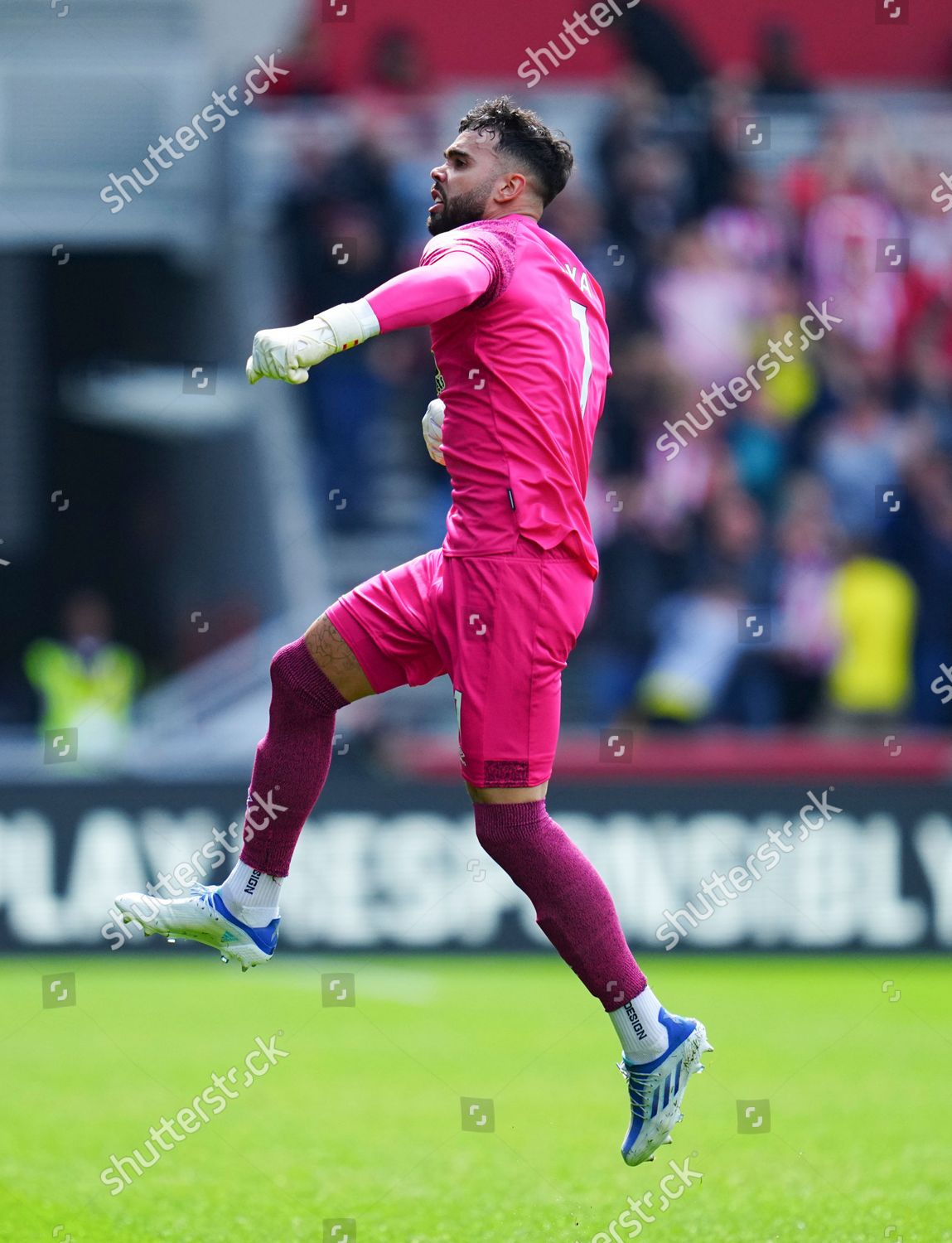 Brentford Goalkeeper David Raya Celebrates Opening Editorial Stock ...