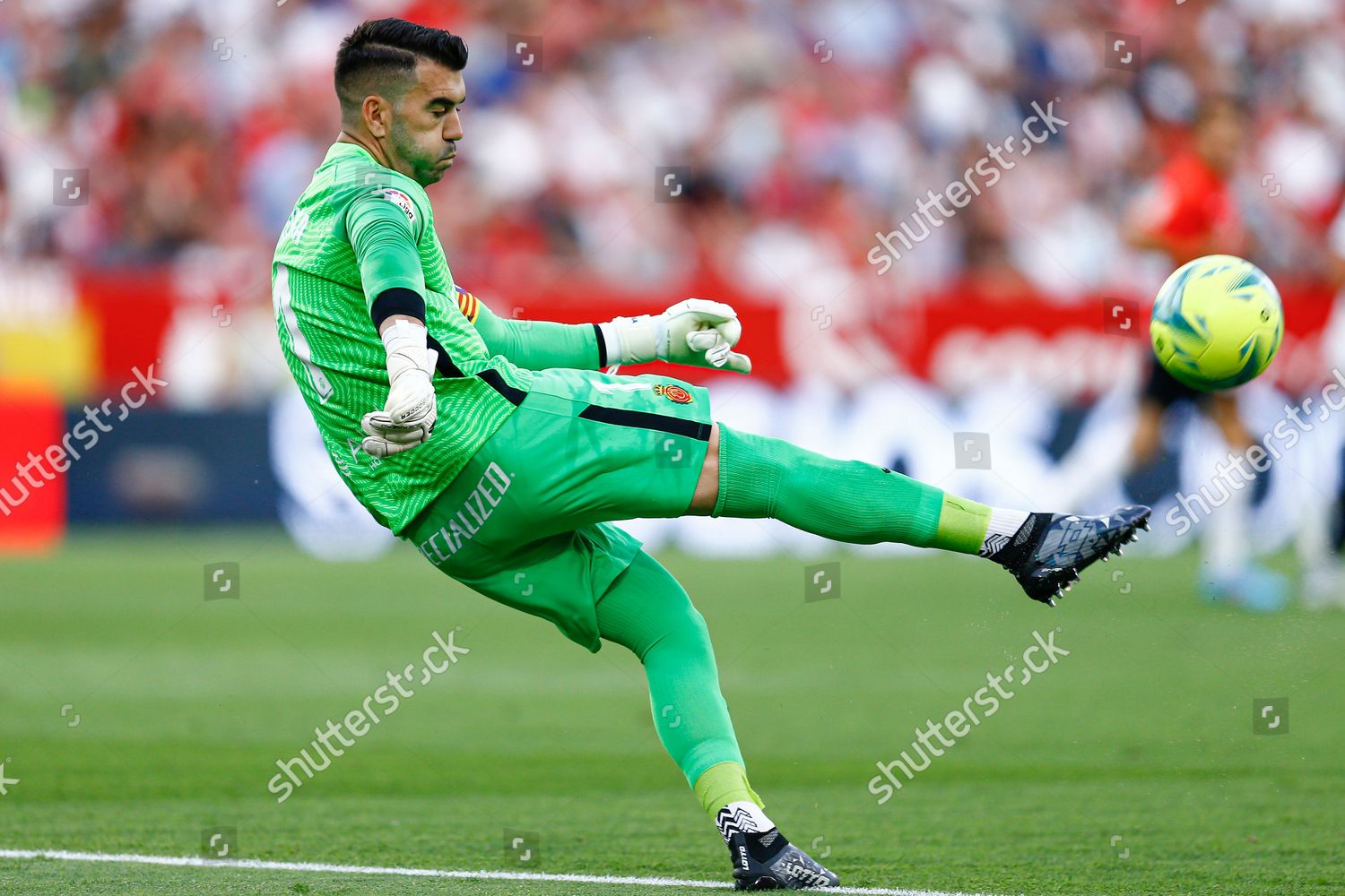 Manolo Reina Rcd Mallorca Editorial Stock Photo - Stock Image ...