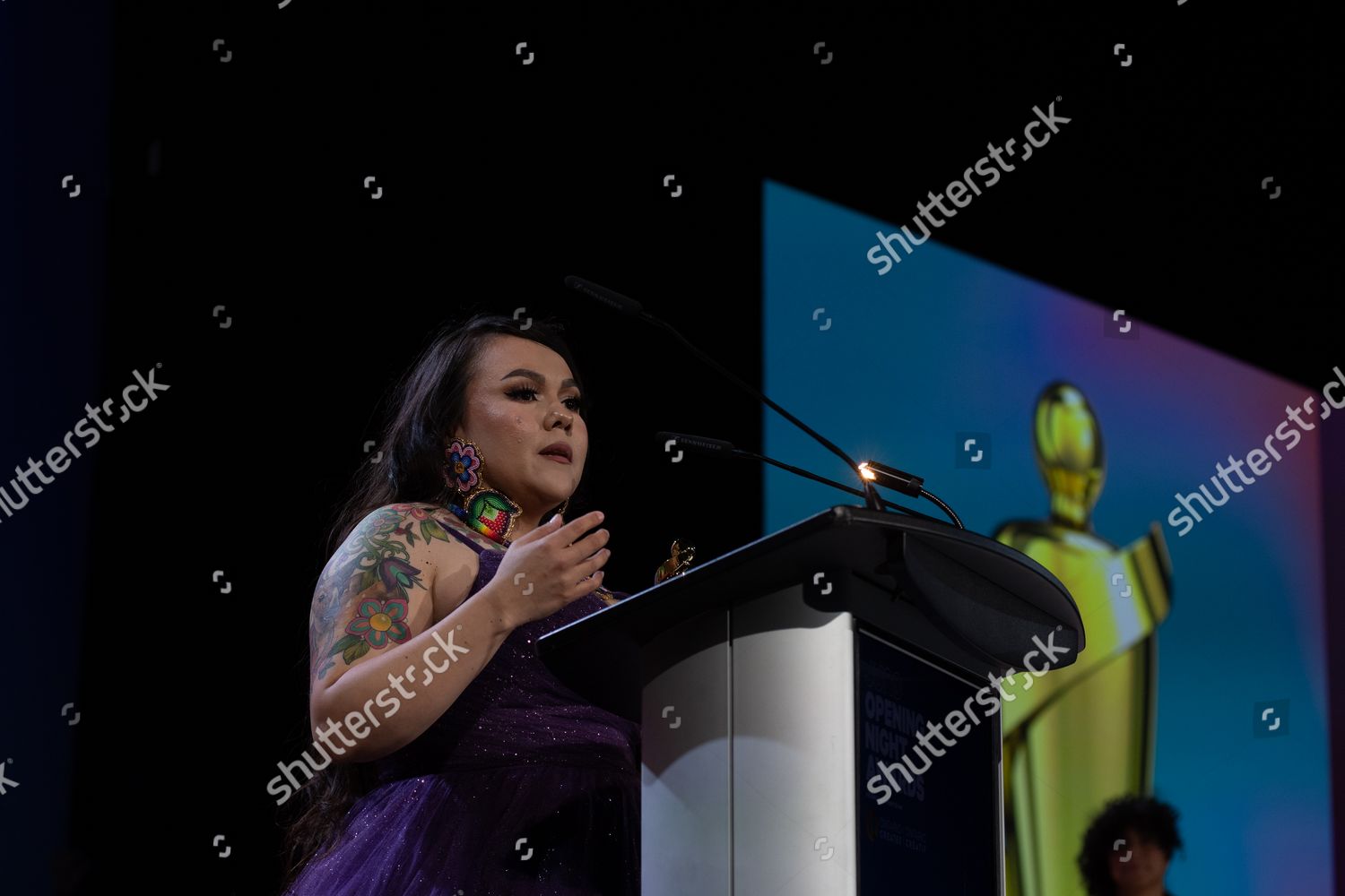 Fawn Wood Winner Traditional Indigenous Artist Editorial Stock Photo ...