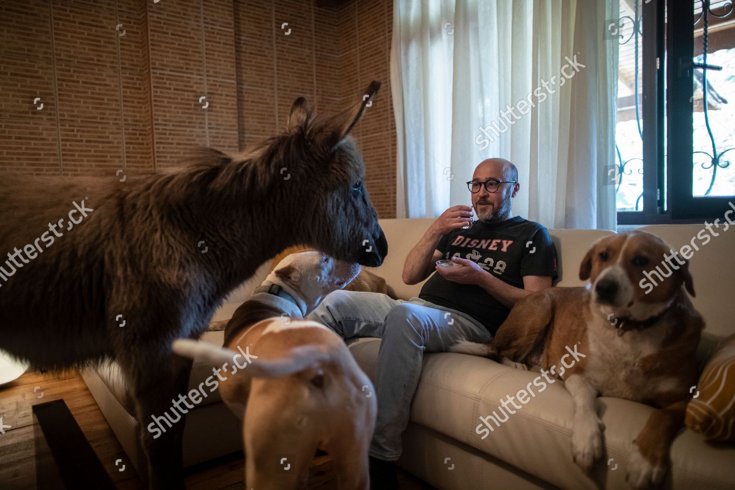 Mert Akkok Drinks Tea Among His Editorial Stock Photo - Stock Image ...