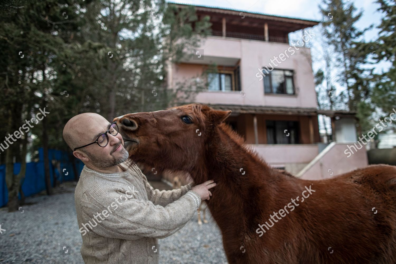 Mert Akkok His Blind Horse His Editorial Stock Photo - Stock Image ...