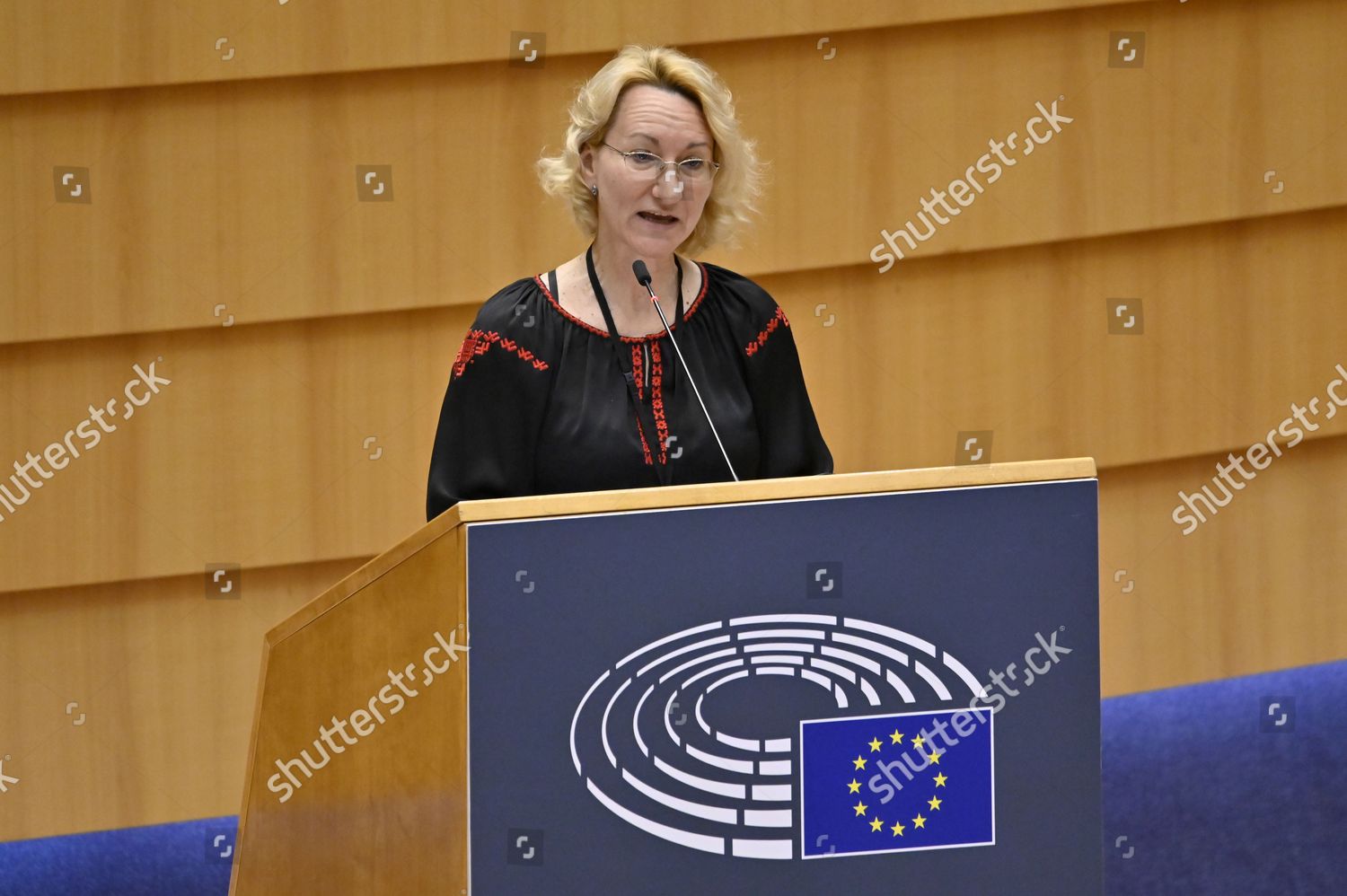 Dace Melbarde Speaks On Microcredentials Individual Editorial Stock ...