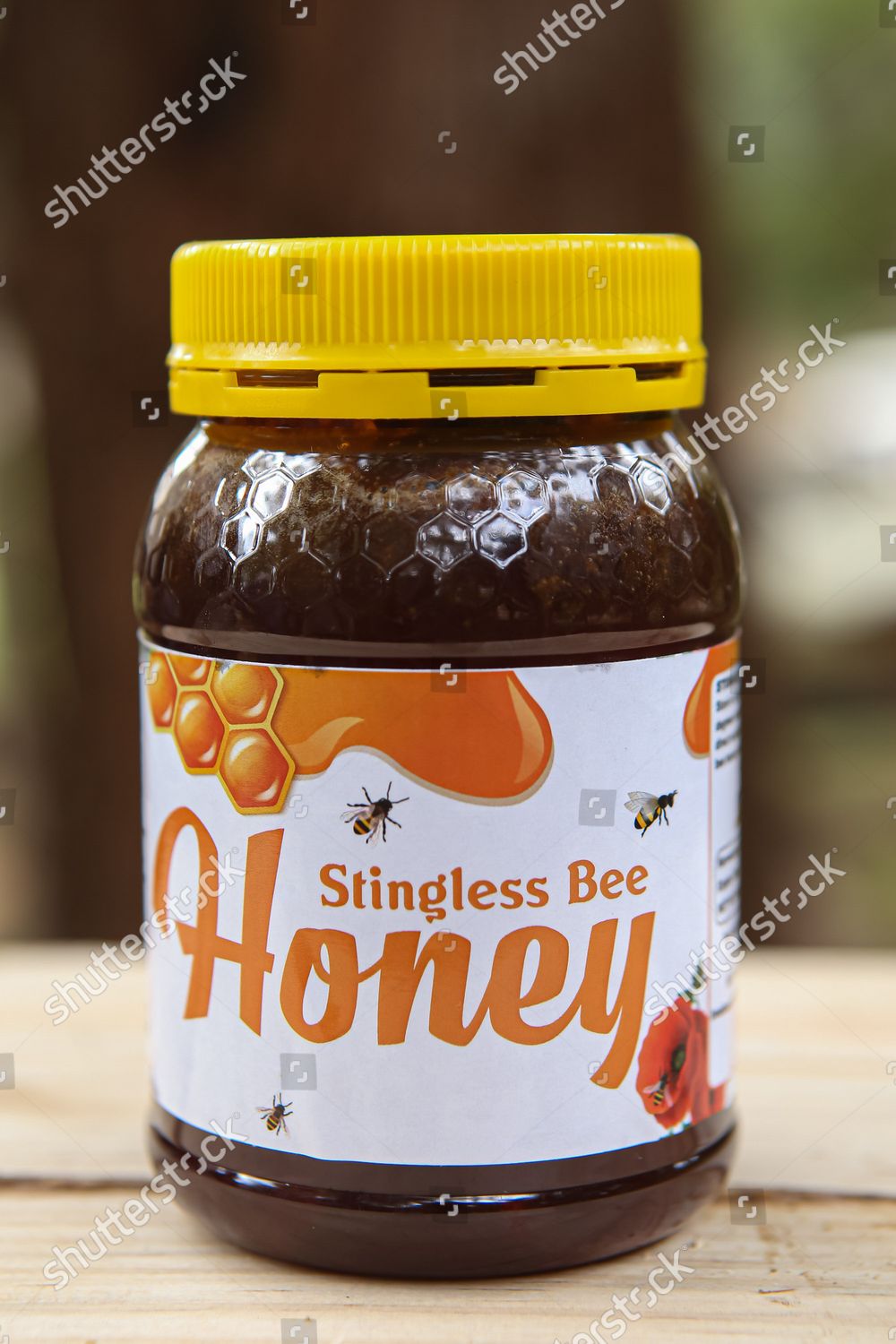 Stingless Honey Produced National Beekeeping Institute Editorial Stock ...