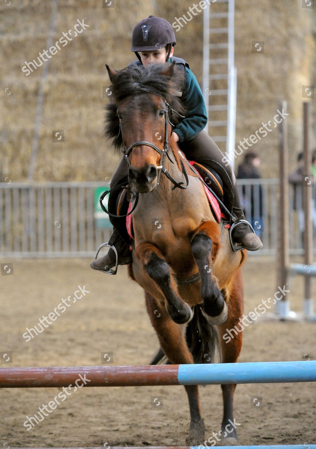 Young Boy Horse Riding Editorial Stock Photo - Stock Image | Shutterstock