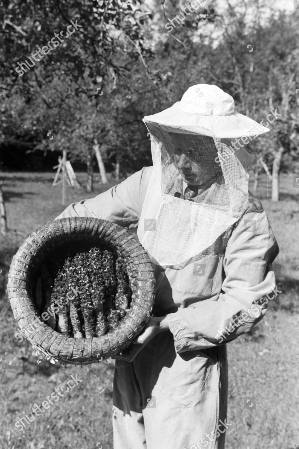 Bee Keeper Protective Clothing Presenting Honeycomb Editorial Stock ...