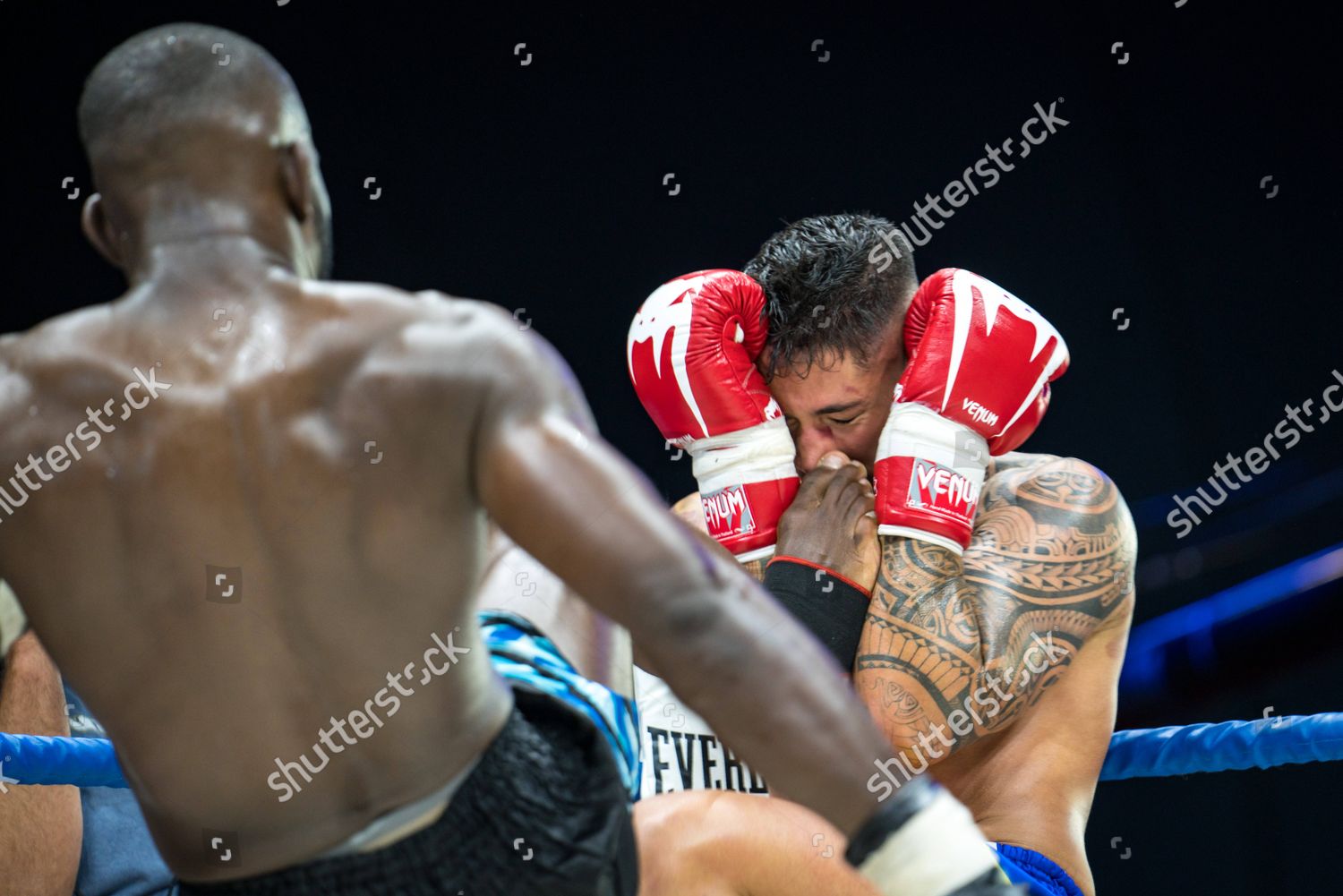 Francis Goma Wins His Fight Against Editorial Stock Photo - Stock Image ...