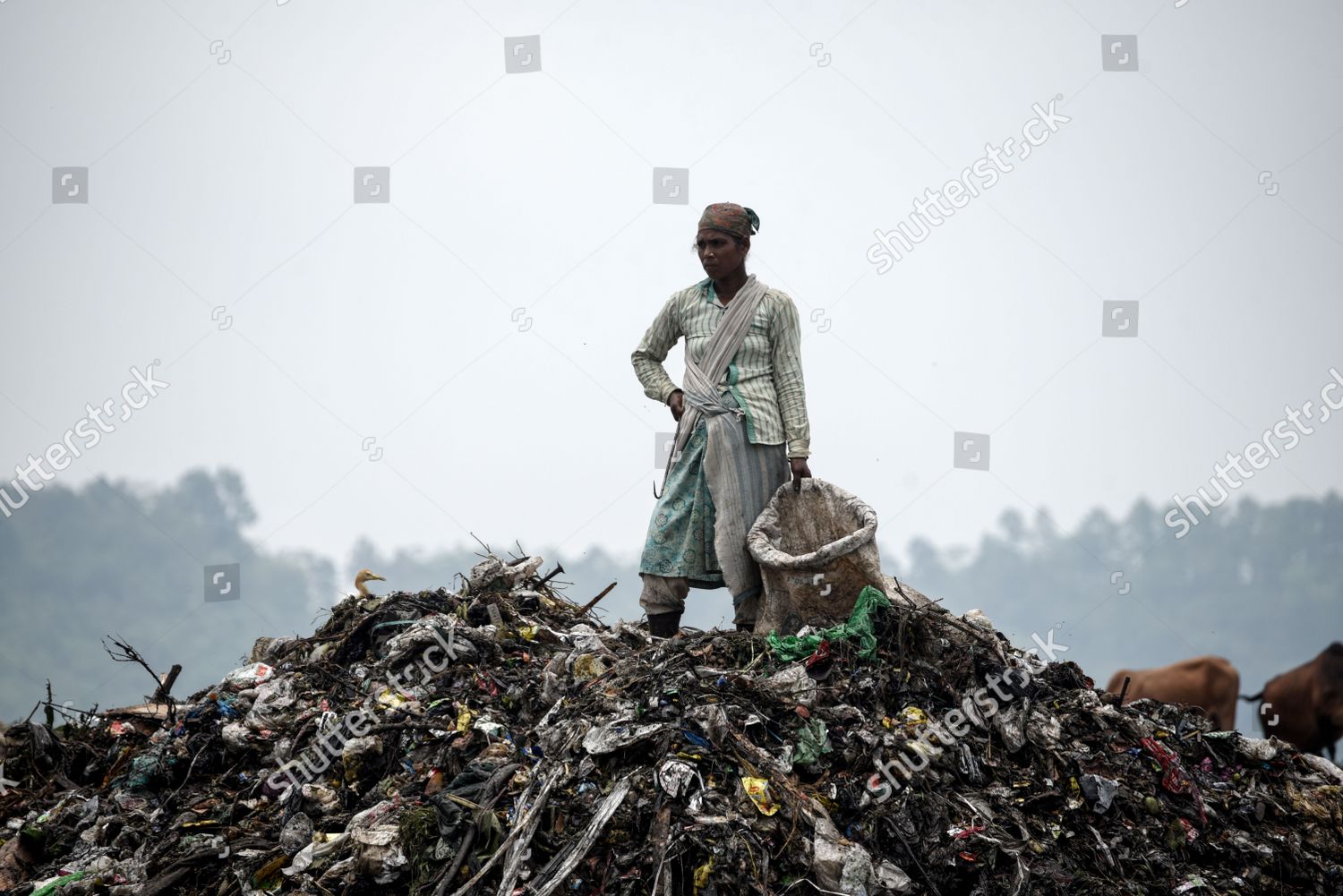 Rag Pickers Searches Recyclable Materials Garbage Editorial Stock Photo ...