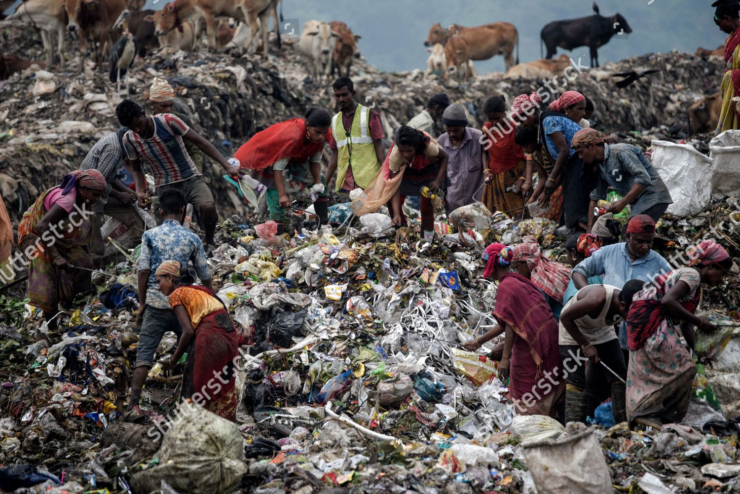 Rag Pickers Searches Recyclable Materials Next Editorial Stock Photo ...