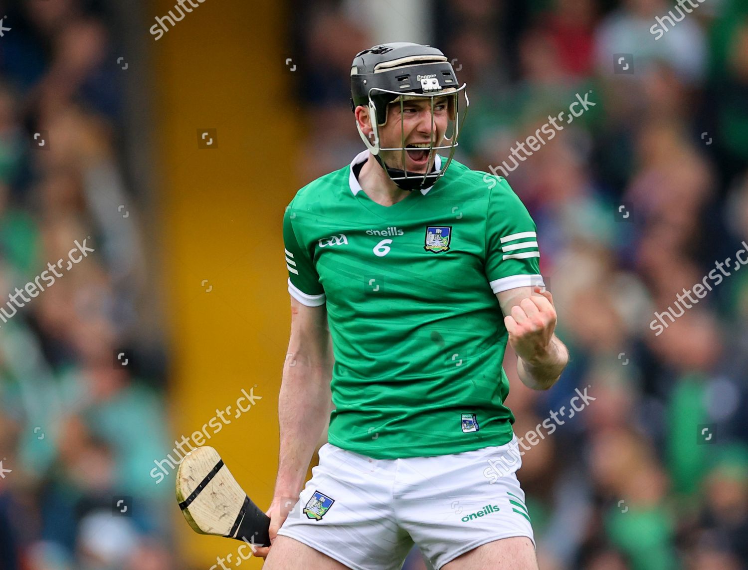 Clare Vs Limerick Limericks Declan Hannon Editorial Stock Photo - Stock ...