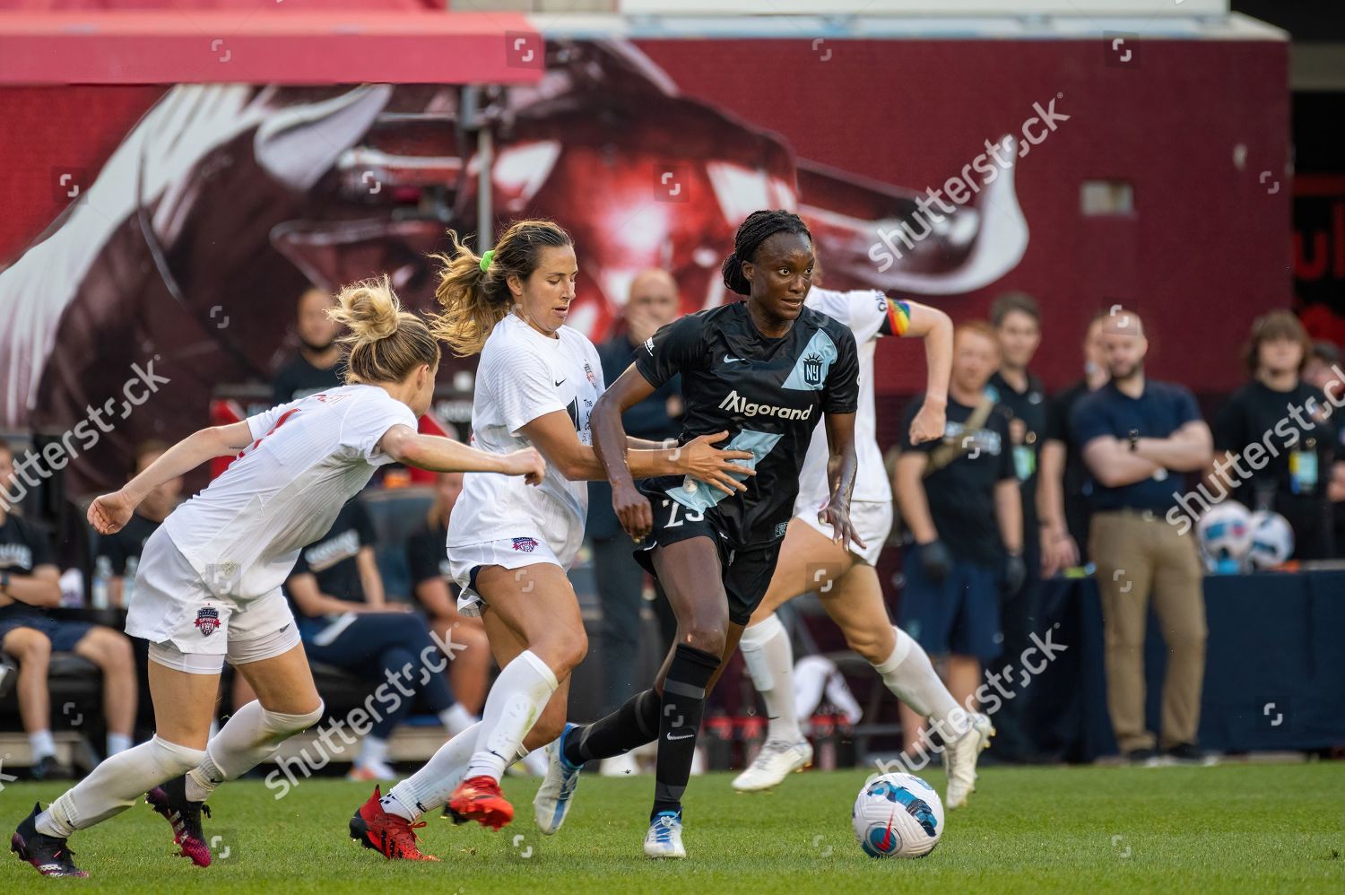 Ifeoma Onumonu Sam Staab Editorial Stock Photo - Stock Image | Shutterstock