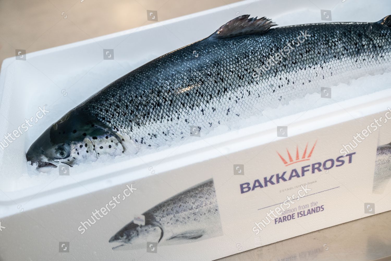 Salmon Farming Company Bakkafrost Bakkavagur Faroe Editorial Stock ...