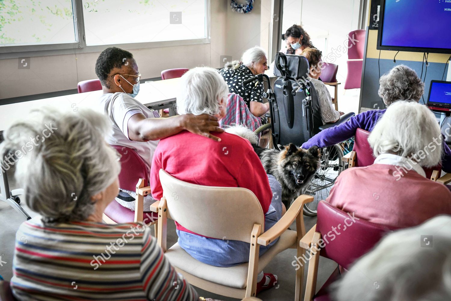 Visit Ehpad Establishment Accommodation Dependent Elderly Editorial ...