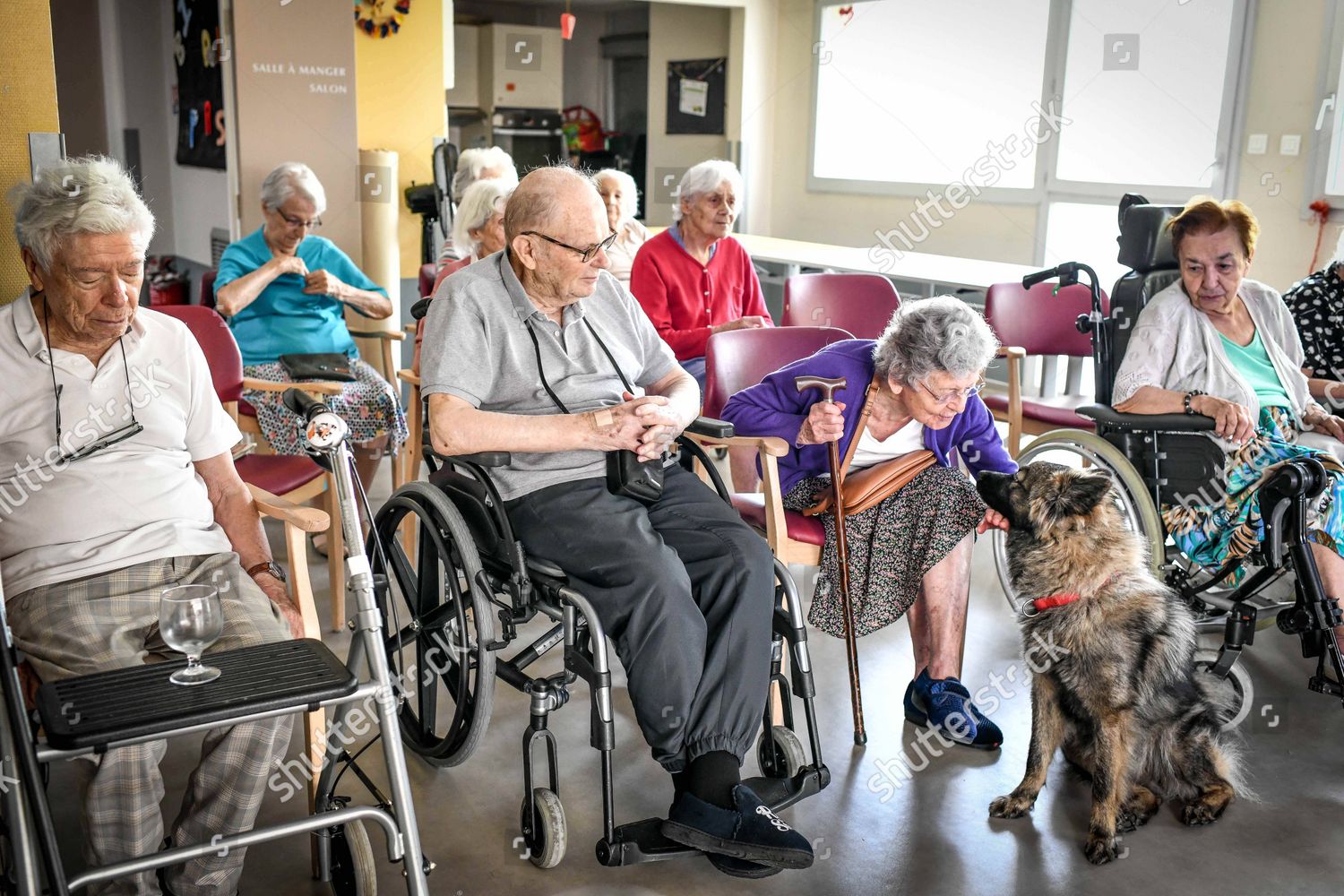 Visit Ehpad Establishment Accommodation Dependent Elderly Editorial ...
