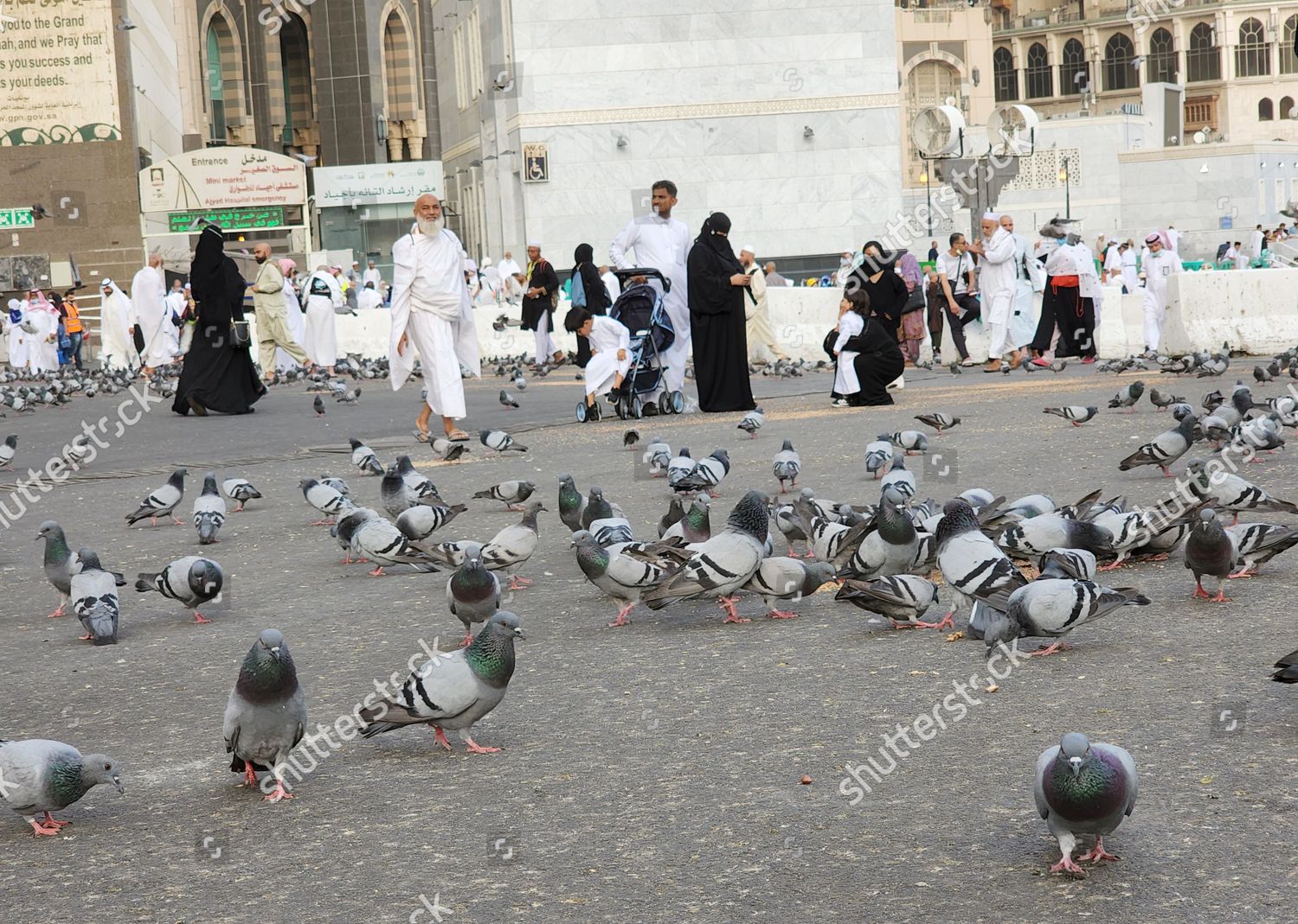 Muslim Pilgrims Feed Pigeons Near Grand Editorial Stock Photo - Stock ...