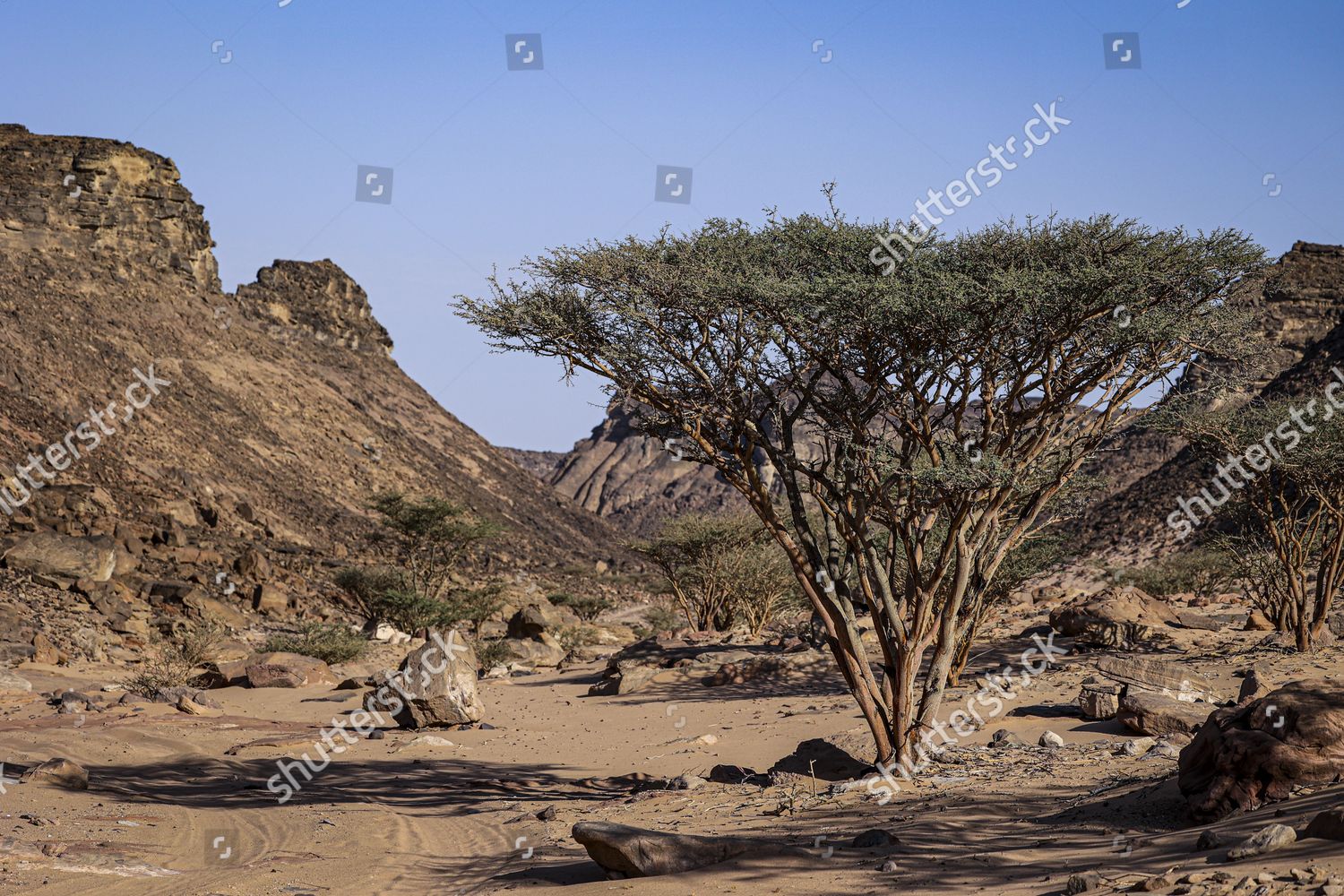 Landscape During Stage 9 Dakar Rally Editorial Stock Photo - Stock ...